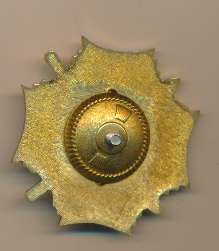 Знак За отличие в службе ВВ МВД России.